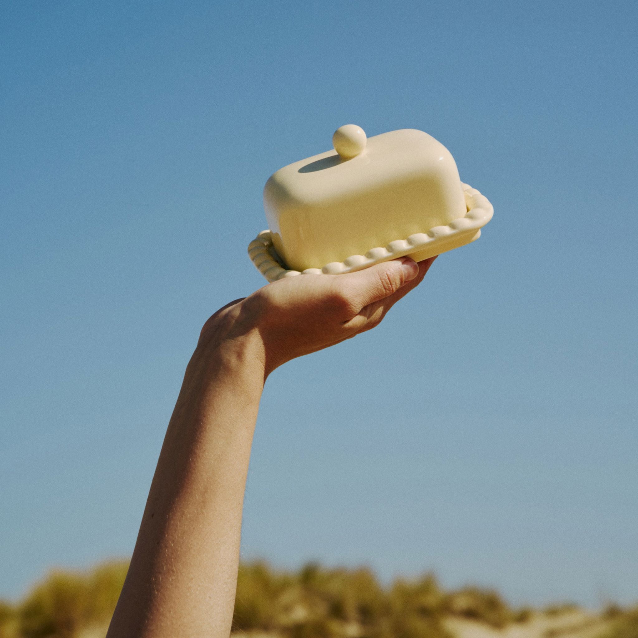 Dakota Butter Dish – Denise